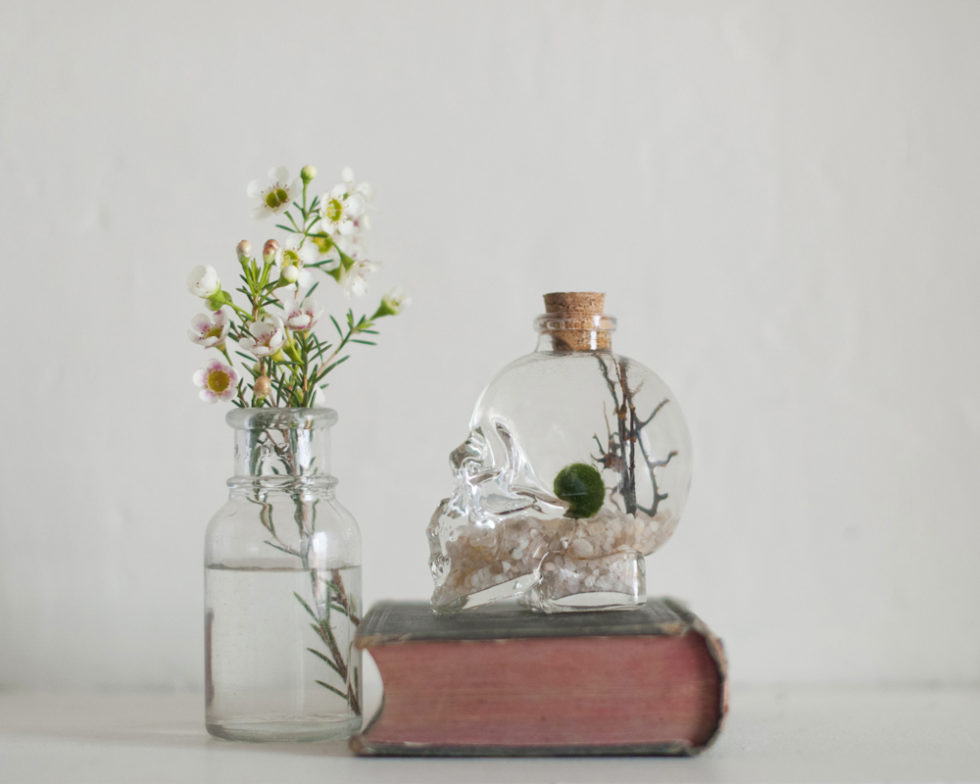 How Sigriet Ferrer has Pivoted her Terrarium Business During COVID [245 ...