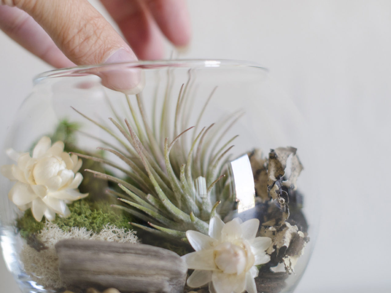 How Sigriet Ferrer has Pivoted her Terrarium Business During COVID [245 ...