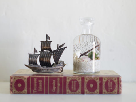 How Sigriet Ferrer has Pivoted her Terrarium Business During COVID [245 ...